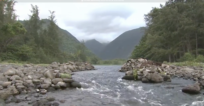 Waipio Valley river - Arnott's Lodging & Adventures