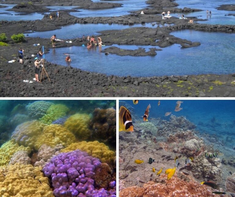 Kapoho Tide Pools: In Memory of the Magnificent Waiʻōpae